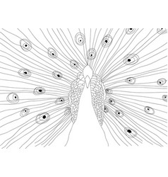 Peacock feather line drawing Royalty Free Vector Image