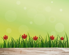 Natural background fresh spring green grass Vector Image