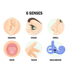 Sense Vector Images (over 10,000)