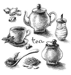 Hand drawn sketch tea set Royalty Free Vector Image