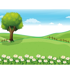 A giant tree at hilltop Royalty Free Vector Image