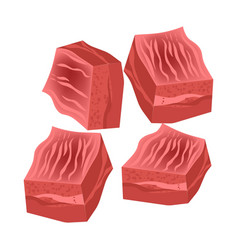 Stack of rack meat Royalty Free Vector Image - VectorStock