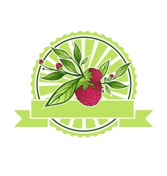 Raspberry Empty Round Frame Royalty Free Vector Image