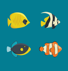 Marine Fish Collection Royalty Free Vector Image