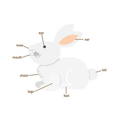 Isolated alphabet letter r rabbit Royalty Free Vector Image