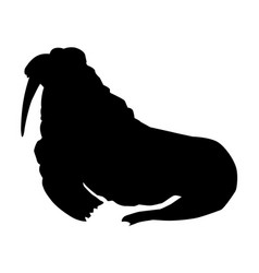 Walrus Royalty Free Vector Image - VectorStock