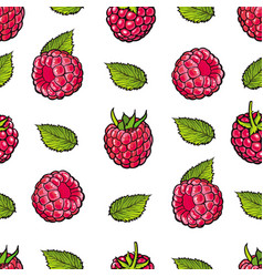 Object raspberry Royalty Free Vector Image - VectorStock