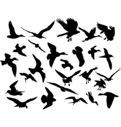 Flying Birds Silhouette Vector Images (over 42,000)
