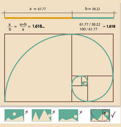 Golden ratio golden proportion Royalty Free Vector Image