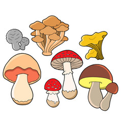 Fungi Vector Images (over 3,300)