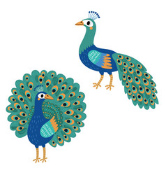 Peacock Vector Images (over 11,000)