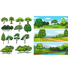 Forest scene with trees and field Royalty Free Vector Image
