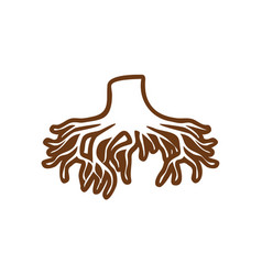 Root graphic design template isolated Royalty Free Vector