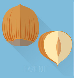 Hazelnut in cartoon style Royalty Free Vector Image