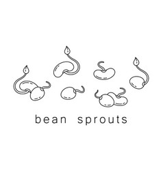 Set three beans icon linear logo for design of Vector Image