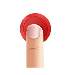 Nail anatomy Royalty Free Vector Image - VectorStock