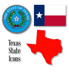 Texas state seal reflection Royalty Free Vector Image
