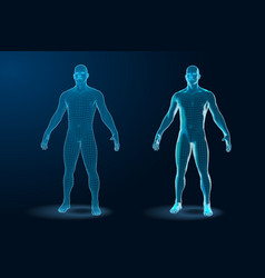 3d wireframe human body Royalty Free Vector Image