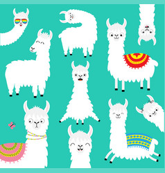 Alpaca llama set childish bacollection cute Vector Image