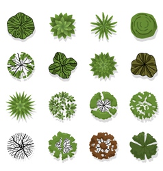 Trees top view for landscape design Royalty Free Vector