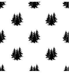 Canadian spruce canada single icon in outline Vector Image