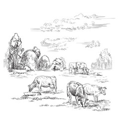 Freehand textured pencil drawing of countryside Vector Image