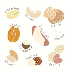 Nuts icons set Royalty Free Vector Image - VectorStock