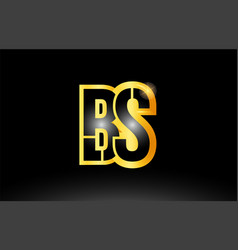 Combination letter bs b s gold golden alphabet Vector Image
