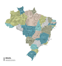 Detailed map of the brazil Royalty Free Vector Image