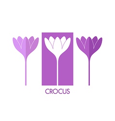 Crocus logo Royalty Free Vector Image - VectorStock