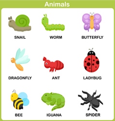 Cute set animal for kids flat design Royalty Free Vector