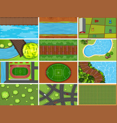 Top view of crops on the farm Royalty Free Vector Image
