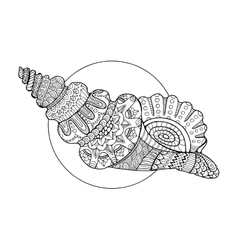 Seashell Mandala Vector Images (over 150)