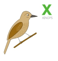 Cartoon xenops bird comic animal character Vector Image