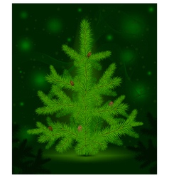 Fur tree Royalty Free Vector Image - VectorStock