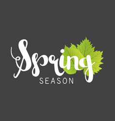Spring season letter and green leaves black gray Vector Image