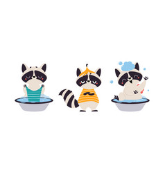 Cute raccoon set funny animal cartoon character Vector Image
