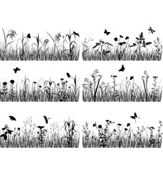 Collection for designers meadow plants set Vector Image