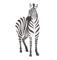 African zebra side view cartoon animal design Vector Image