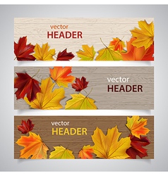 Welcome banner with golden leaves Royalty Free Vector Image
