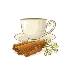 Cinnamon tea Royalty Free Vector Image - VectorStock