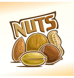 Nuts Vector Images (over 51,000)