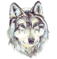 Dog head abstract Royalty Free Vector Image - VectorStock