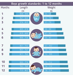 Measuring baweight Royalty Free Vector Image - VectorStock