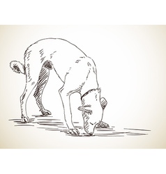 Dog Sniffing Vector Images (over 170)