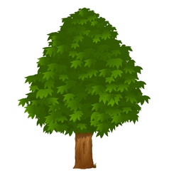 Chestnut Tree Vector Images (over 5,700)