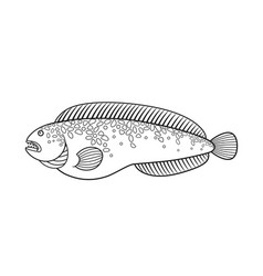 Catfish mud cat jumping up drawing Royalty Free Vector Image