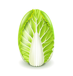 Fresh arugula set isolated on white Royalty Free Vector