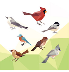 Bird animals low poly logo icon symbol set Vector Image