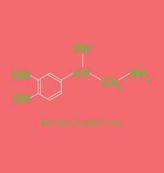 Norepinephrine noradrenaline norepi hormone and Vector Image
